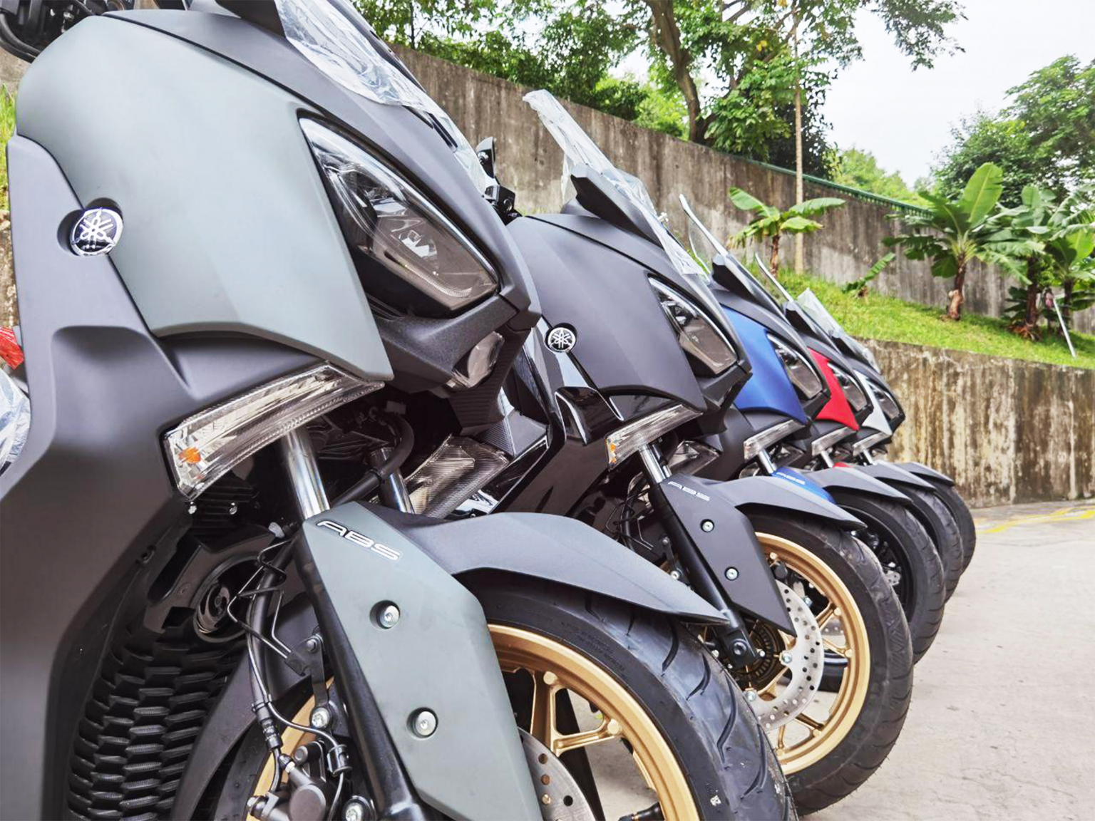 Revology Bikes